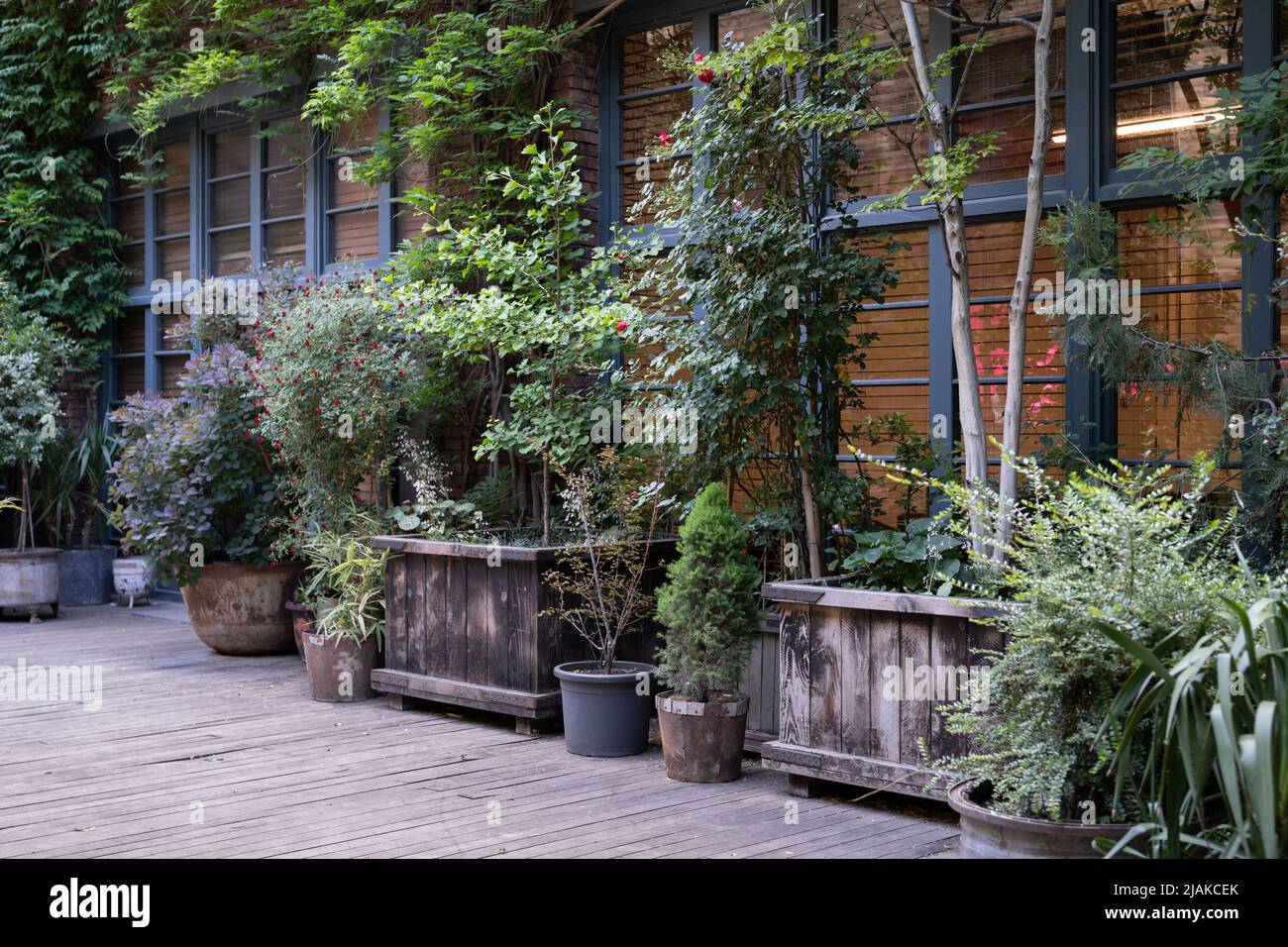 Landscaping of urban public spaces with different potted plants ...