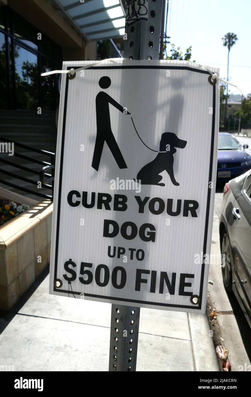 Why Is It Called Curb Your Dog