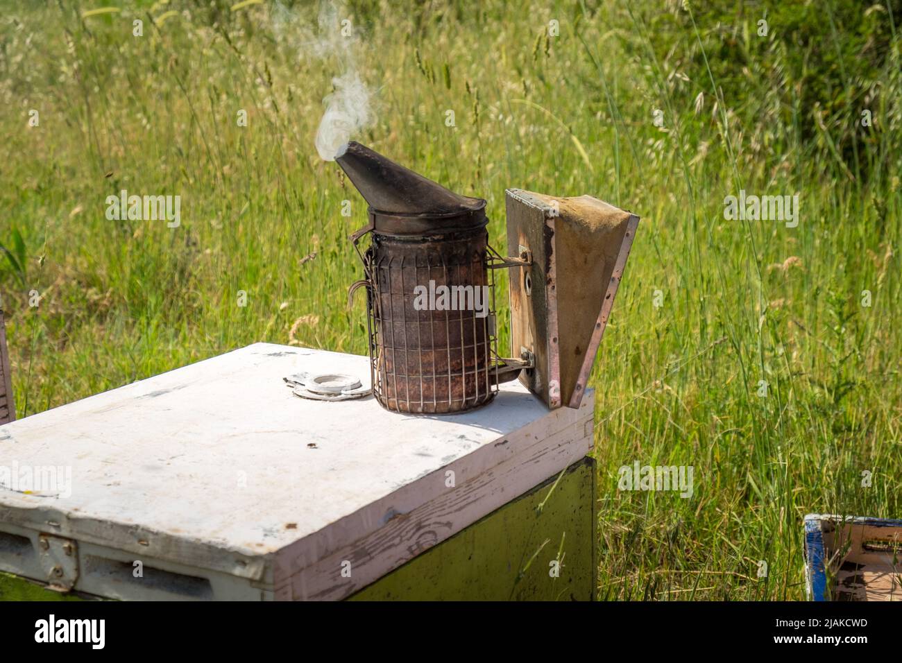 Bee smoker smoking on the top of a beehive Stock Photo - Alamy