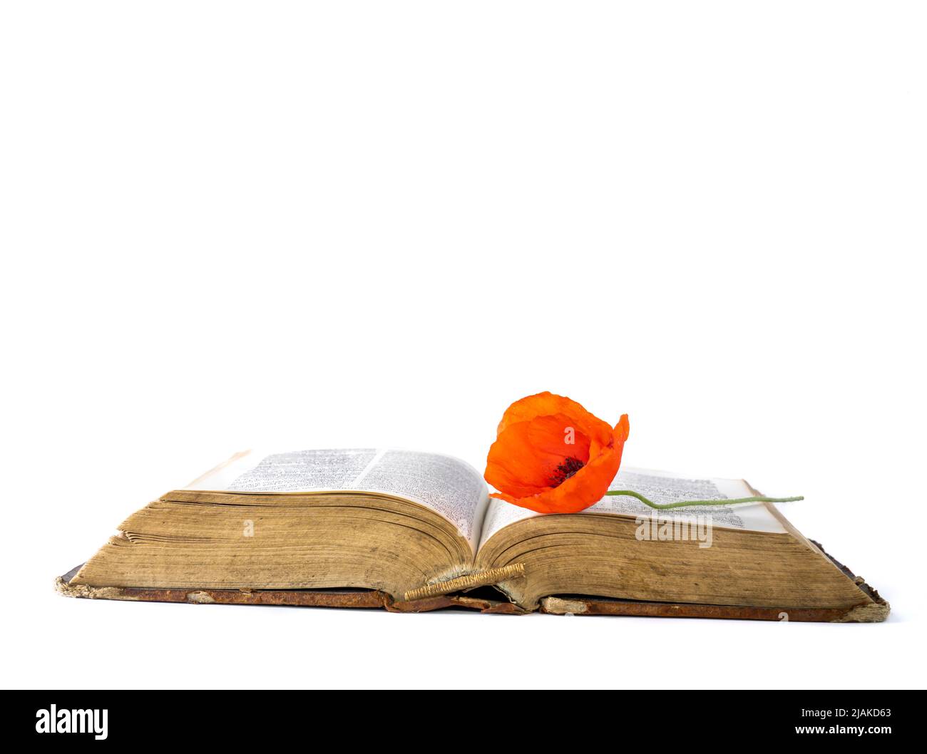 Old open book of knowledge symbol with red poppy flower isolated on ...