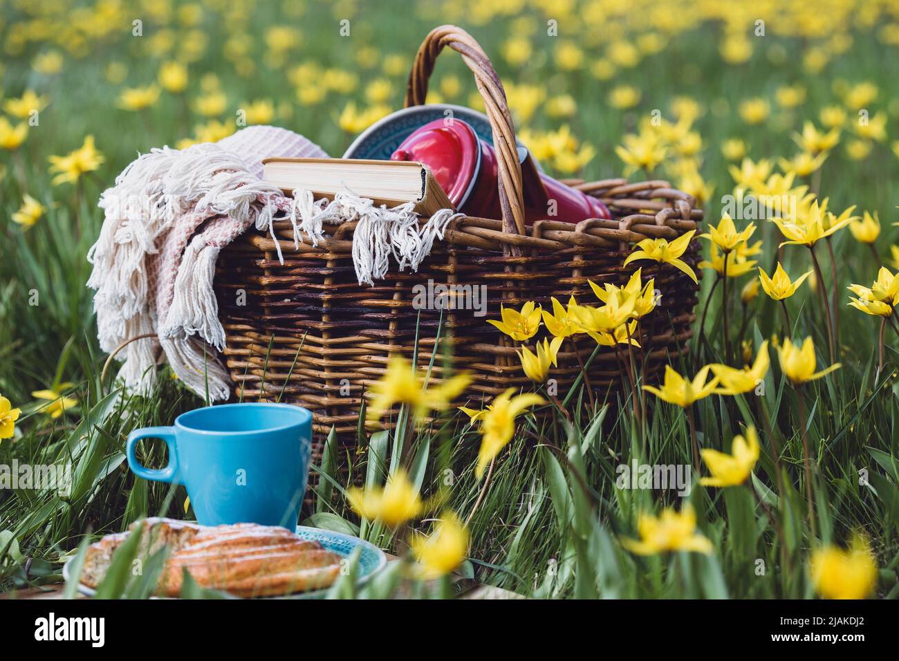 spring picnic in the meadow. still life - cinnamon bun, cup of tea and ...