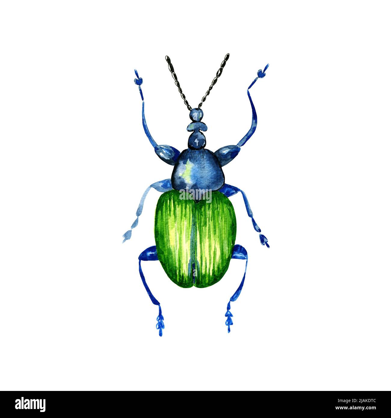 Hand drawn realistic background design.Watercolor illustration of ...