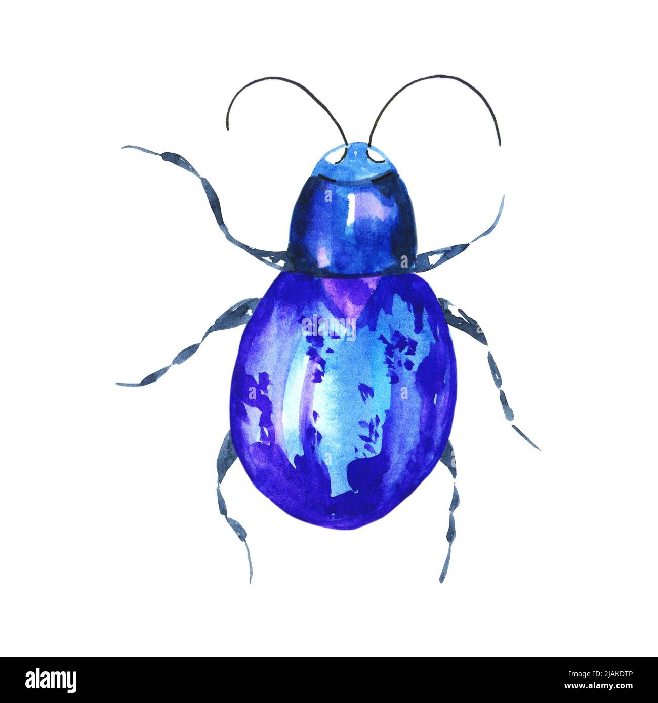 Hand drawn realistic background design.Watercolor illustration of ...