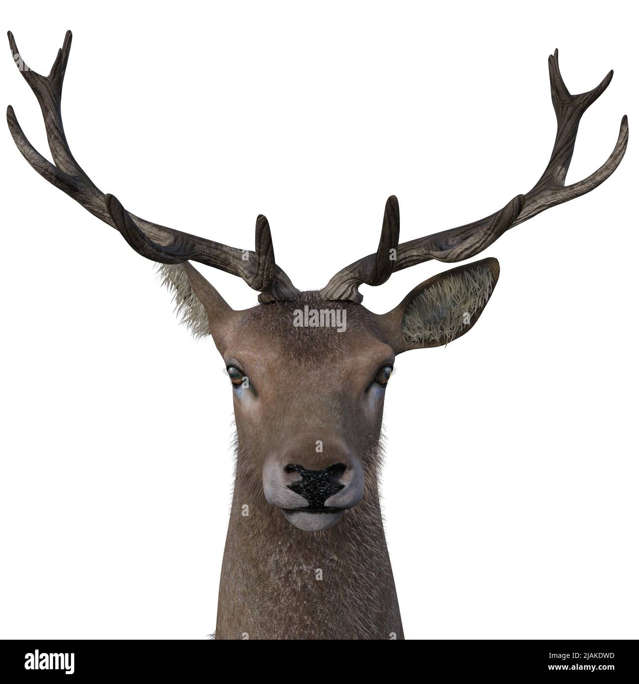 3d-illustration of an isolated deer animal Stock Photo - Alamy