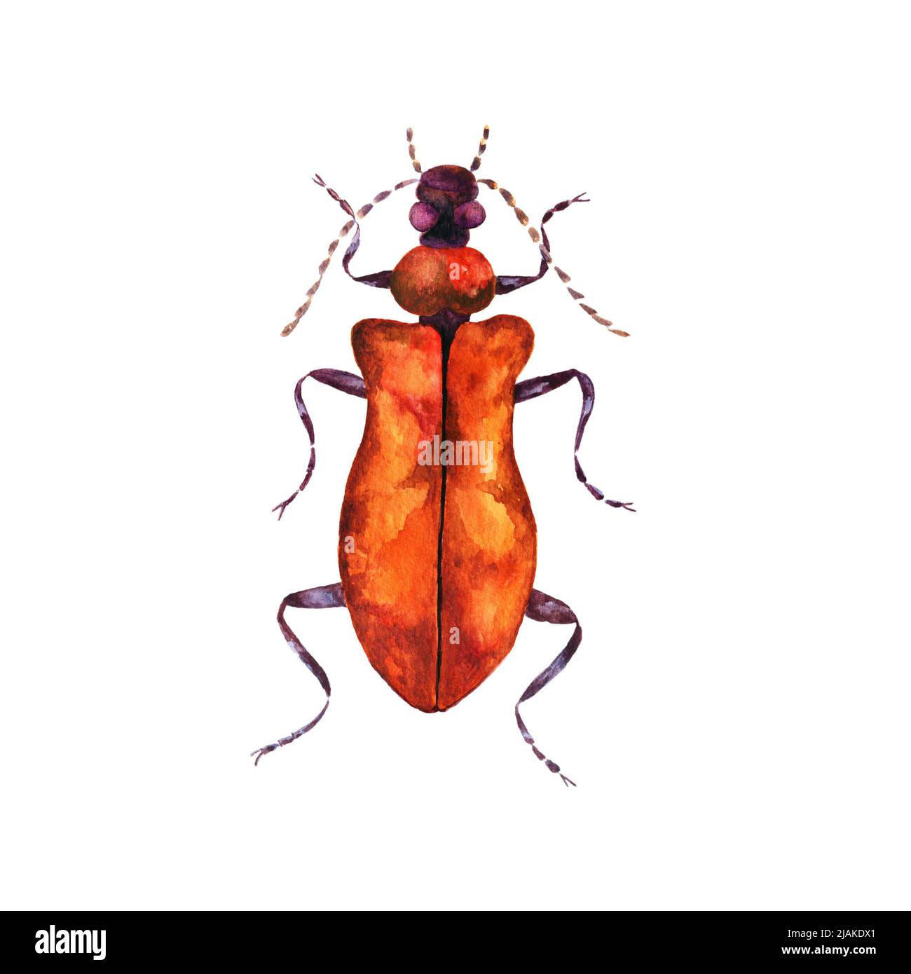 Hand drawn realistic background design.Watercolor illustration of ...