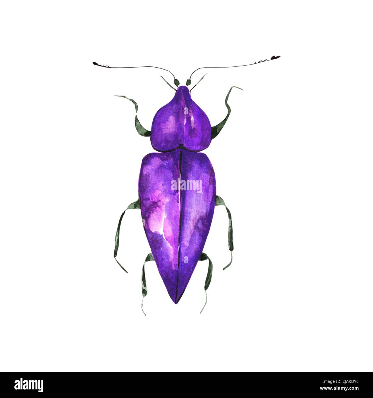 Hand drawn realistic background design.Watercolor illustration of ...