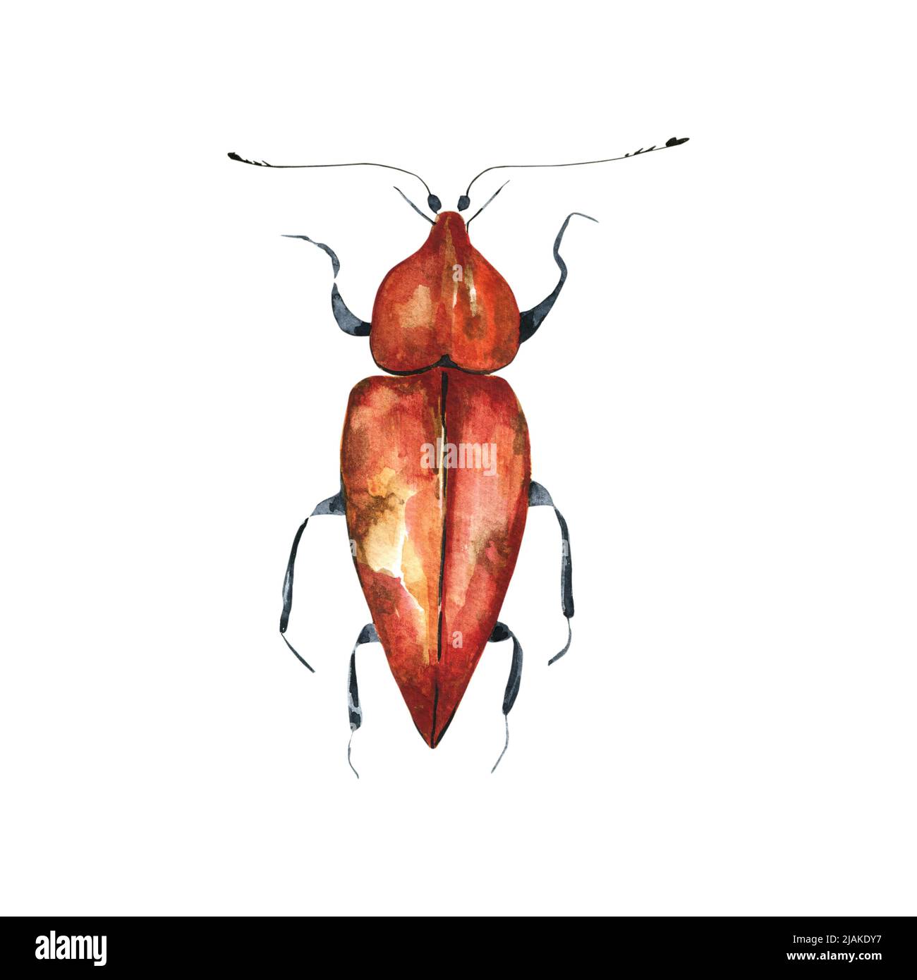 Hand drawn realistic background design.Watercolor illustration of ...