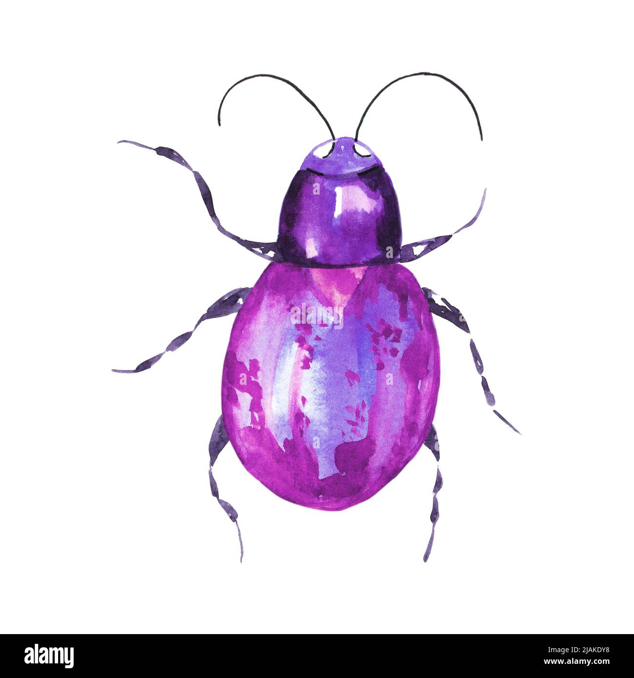 Hand drawn realistic background design.Watercolor illustration of ...