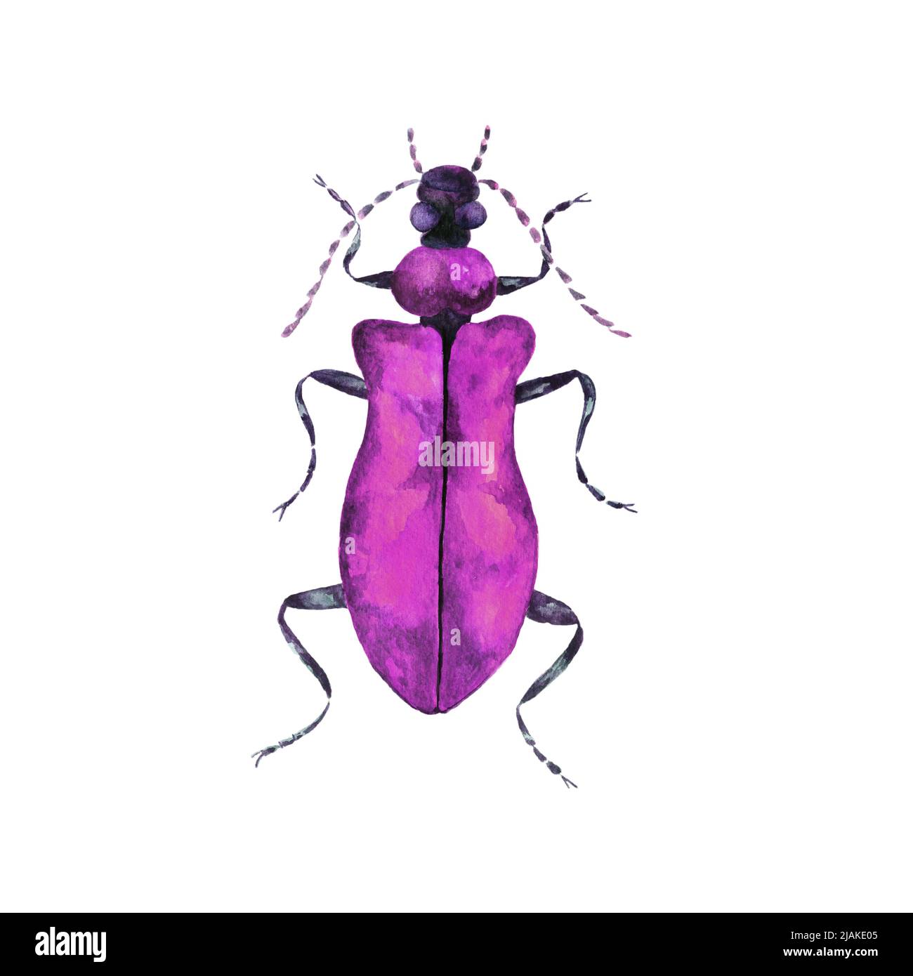 Hand drawn realistic background design.Watercolor illustration of ...