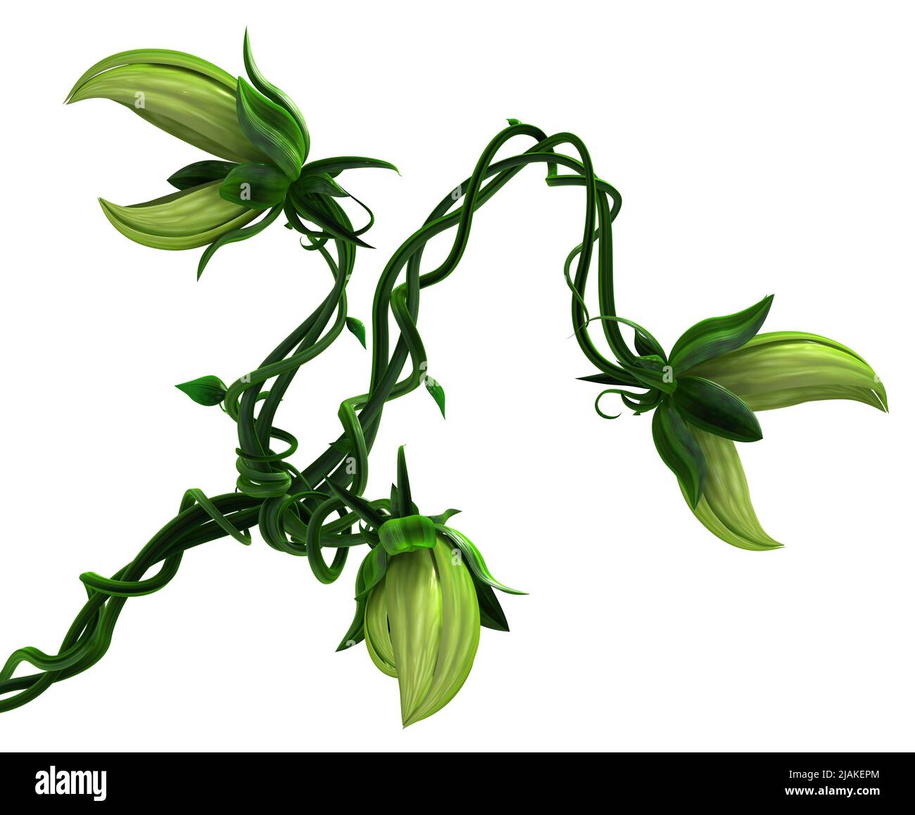Plant growing green biting vine several heads, 3d illustration ...