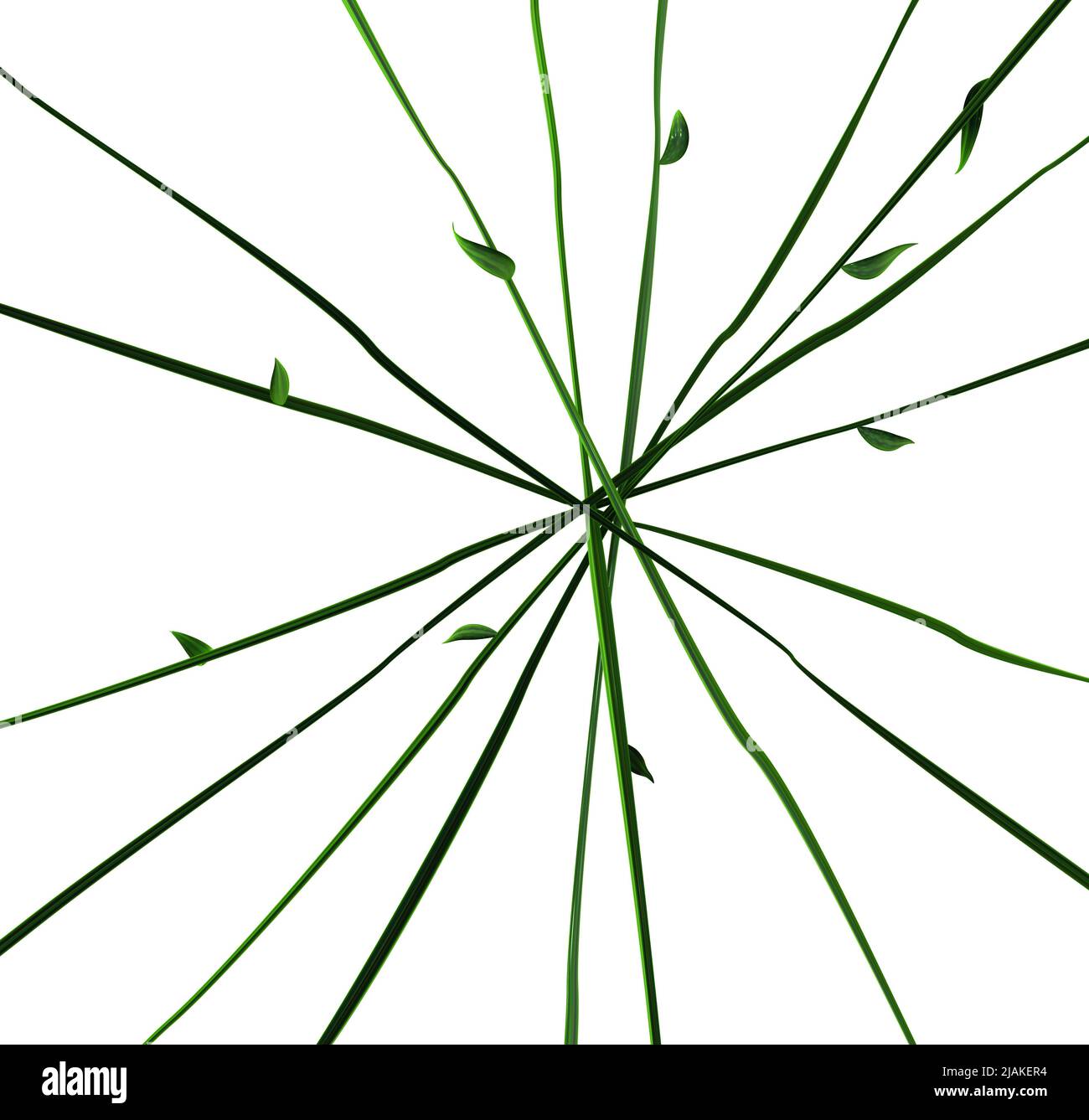 Horizontal crossing Cut Out Stock Images & Pictures - Alamy