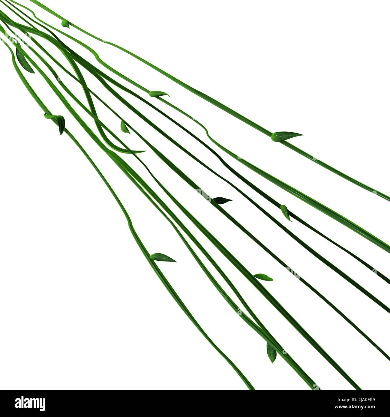 Plant vines green growing straight rays, 3d illustration, horizontal ...
