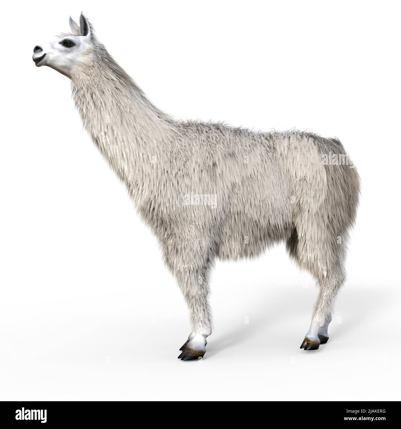 Legendary animal hi-res stock photography and images - Alamy