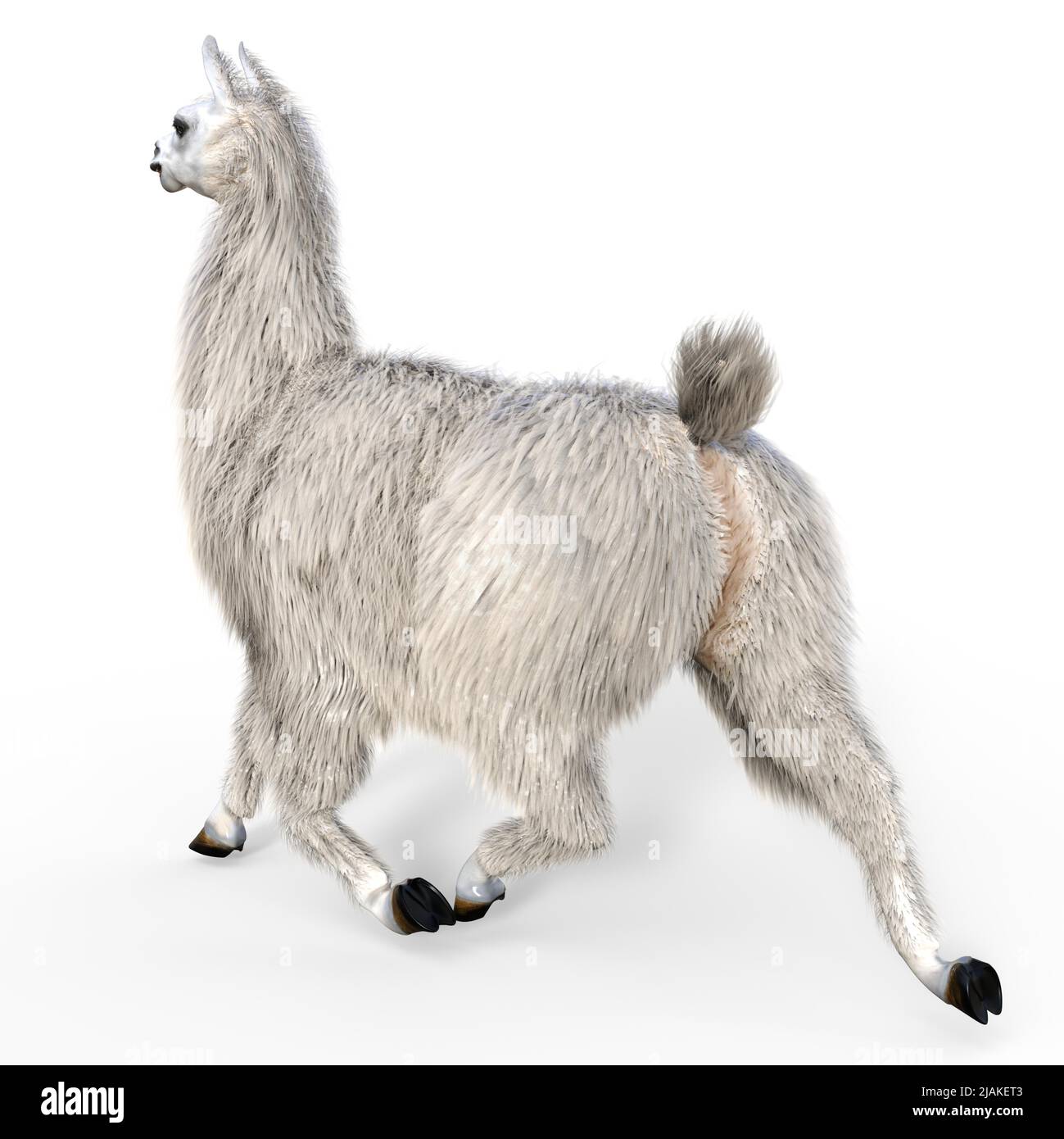 Legendary animal hi-res stock photography and images - Alamy