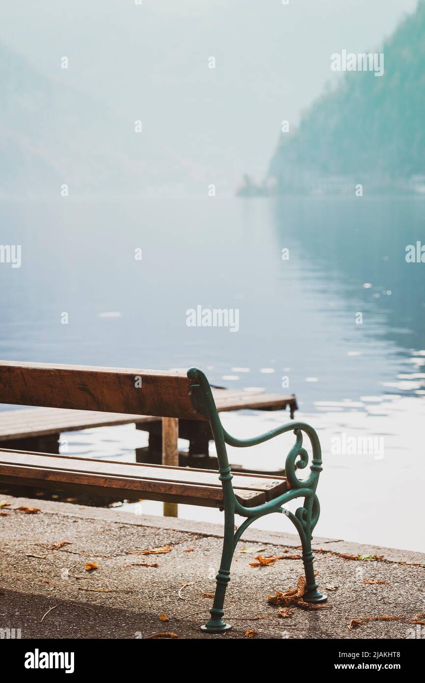 cozy bench. beautiful autumn background. Bench with yellow leaves Stock ...
