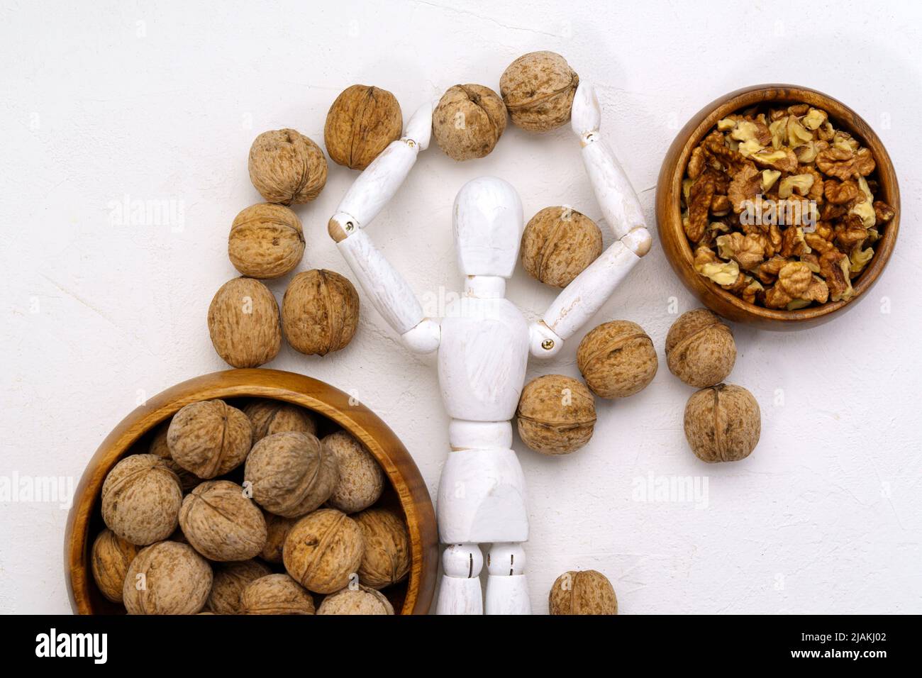 The human brain is shaped like a walnut kernel. Wooden mannequin with ...