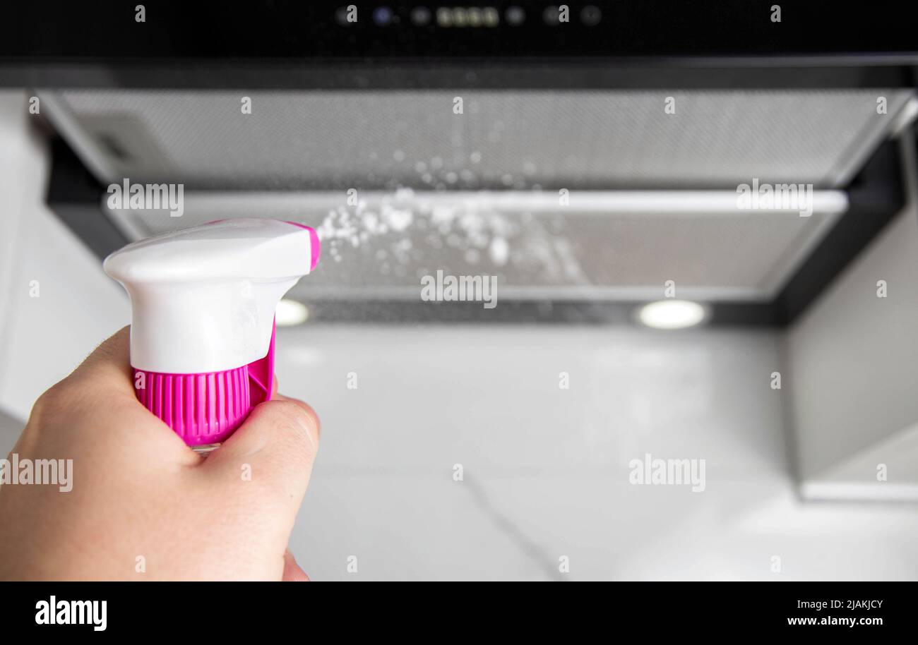Cleaning the grease filters of the kitchen hood with a special ...