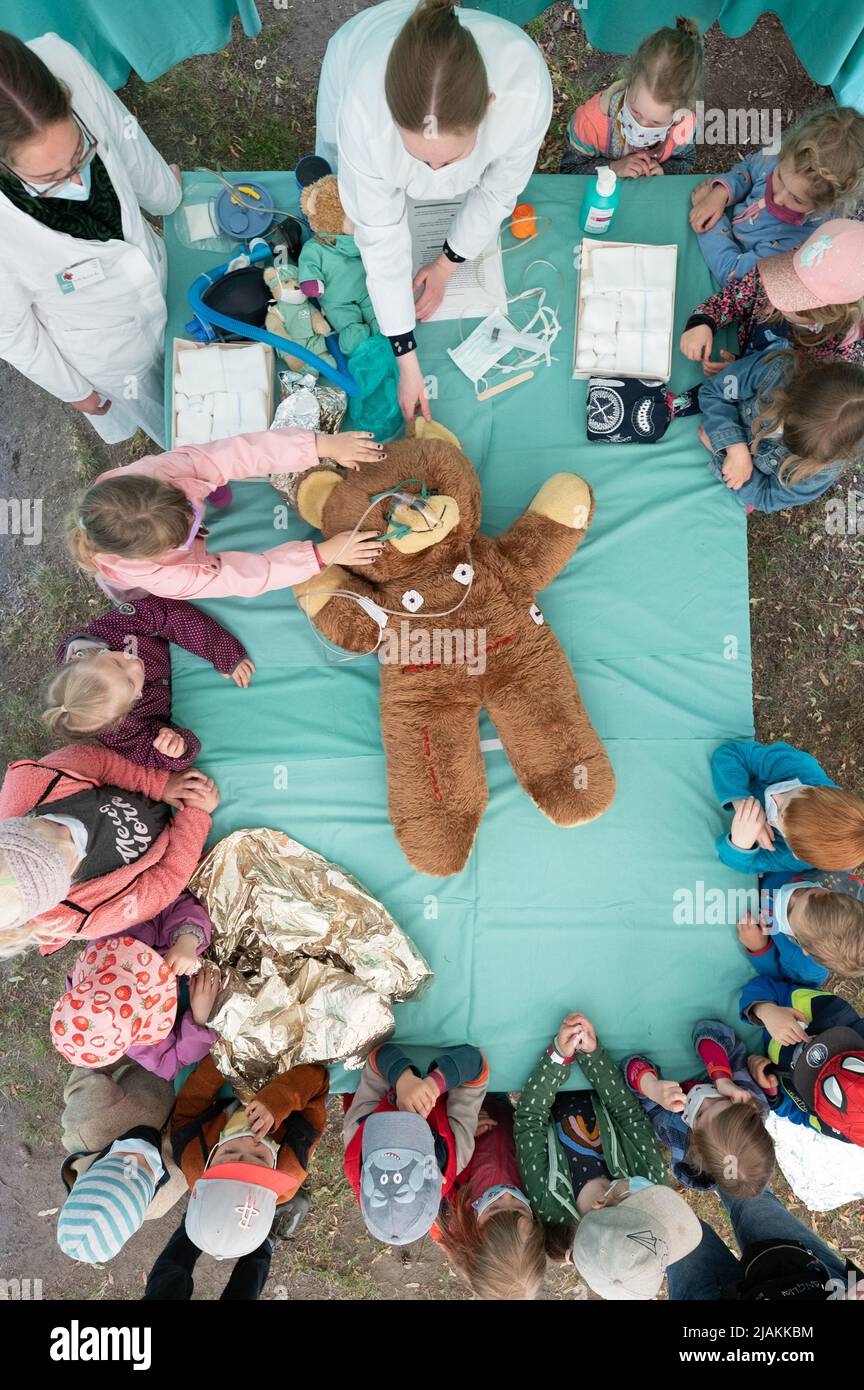 Dresden, Germany. 31st May, 2022. Medical students "operate" on a teddy ...