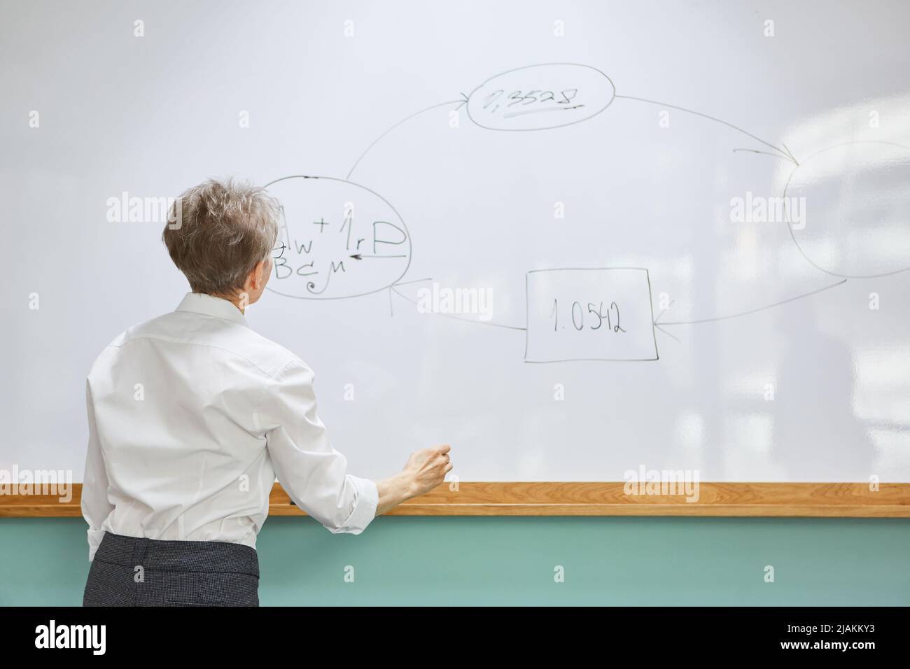 Lecturer giving a presentation in a training course or university ...