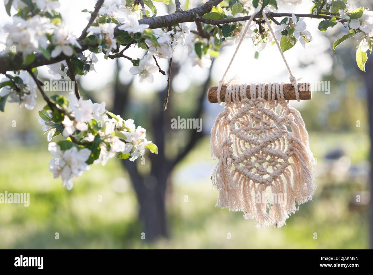 creation of panels from macrame in the spring garden. creativity and ...