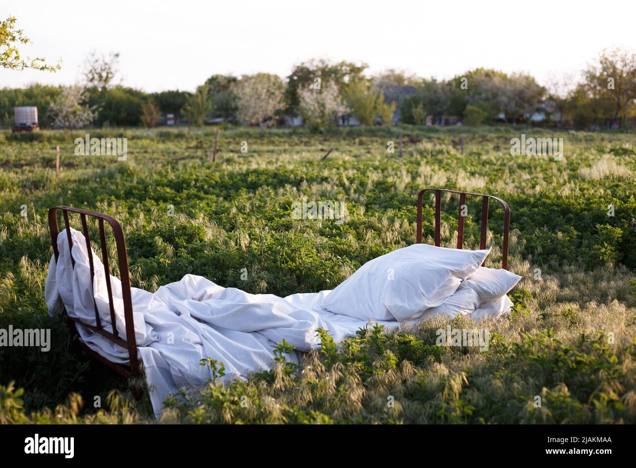 bed in a green field. healthy sleep in nature Stock Photo - Alamy