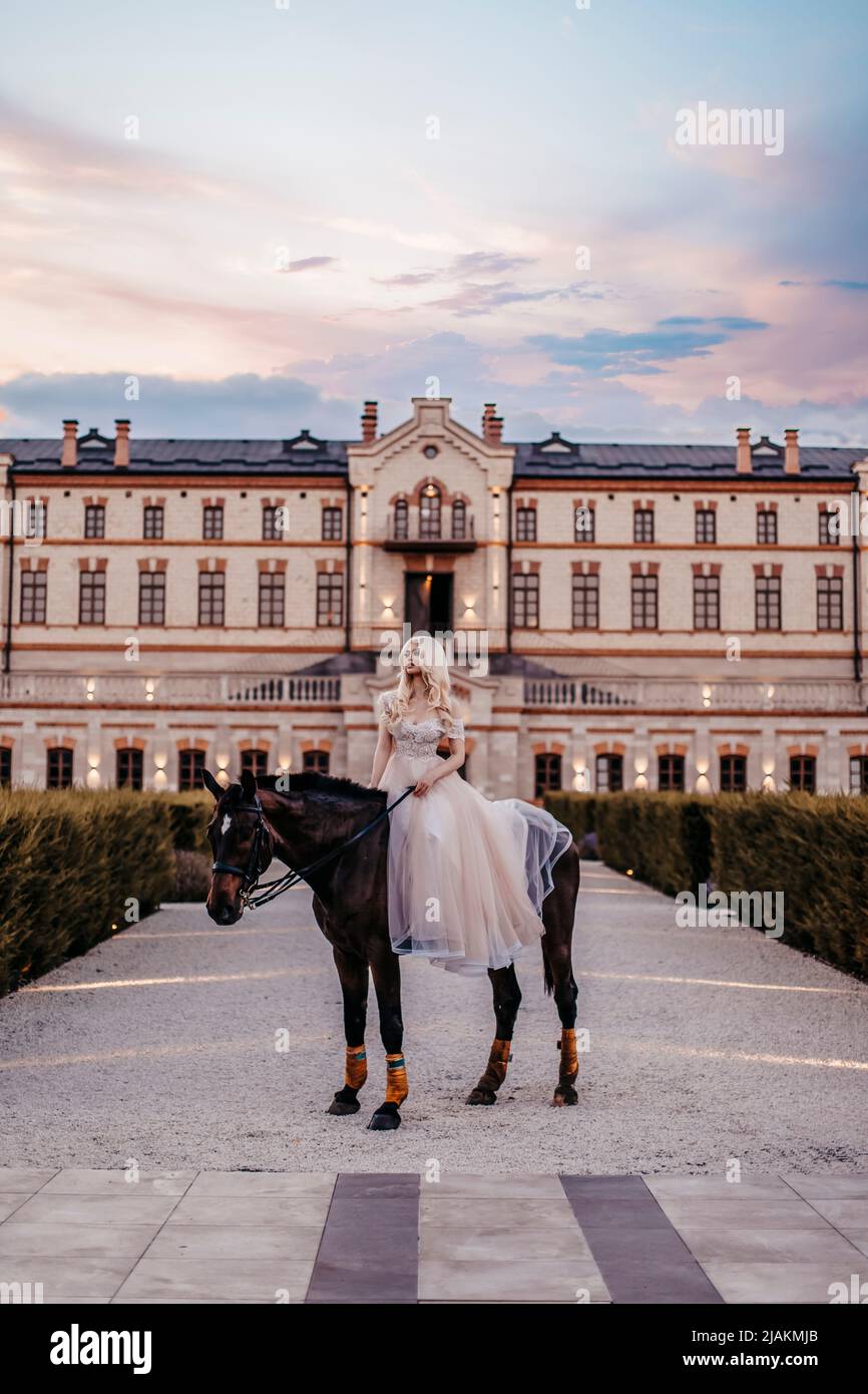 Beautiful woman with horse near castle Stock Photo - Alamy