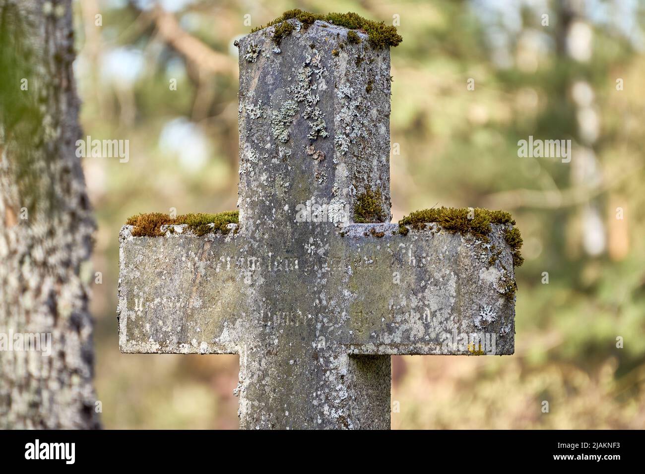 Moss concrete hi-res stock photography and images - Alamy