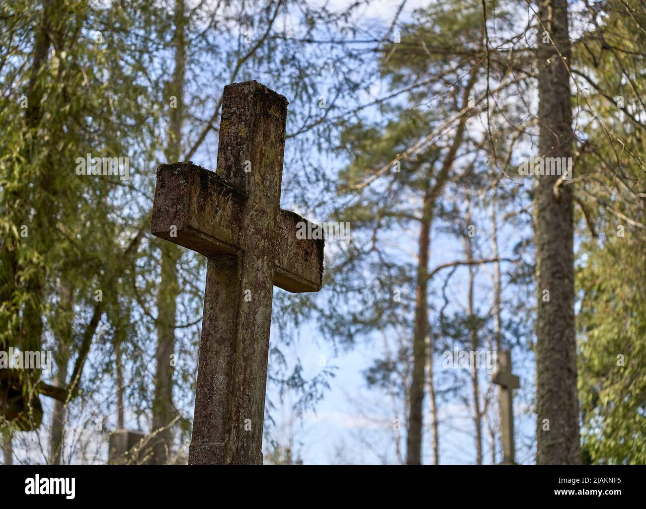 Ancient concrete cross in the cemetery covered by moss. Sunny day Stock ...