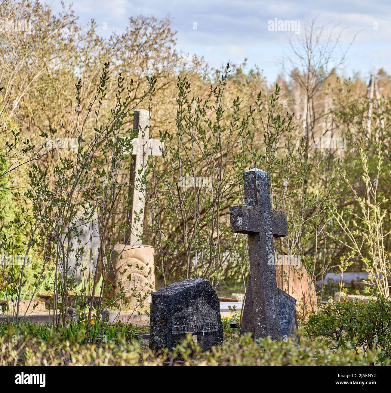 Ancient concrete cross in the cemetery covered by moss. Sunny day Stock ...