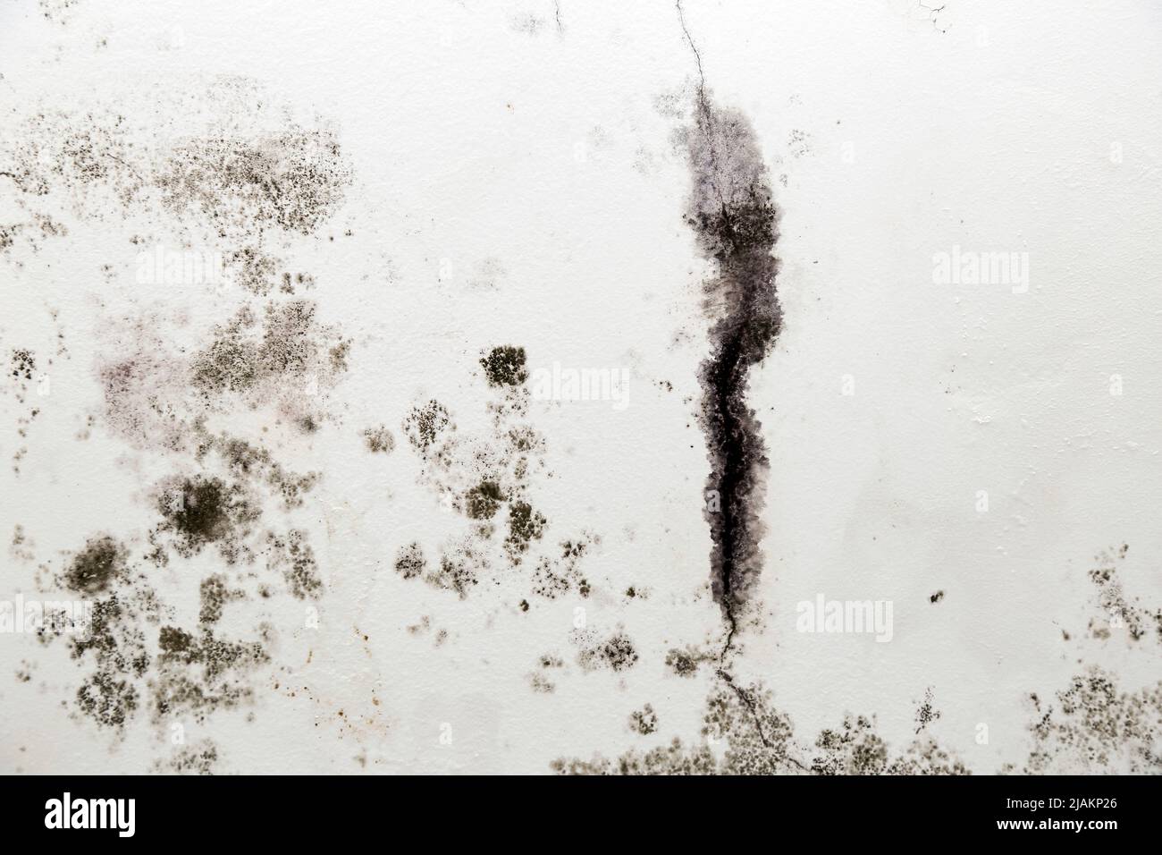 infiltration of water, mold and cracks in the wall and white roof of ...