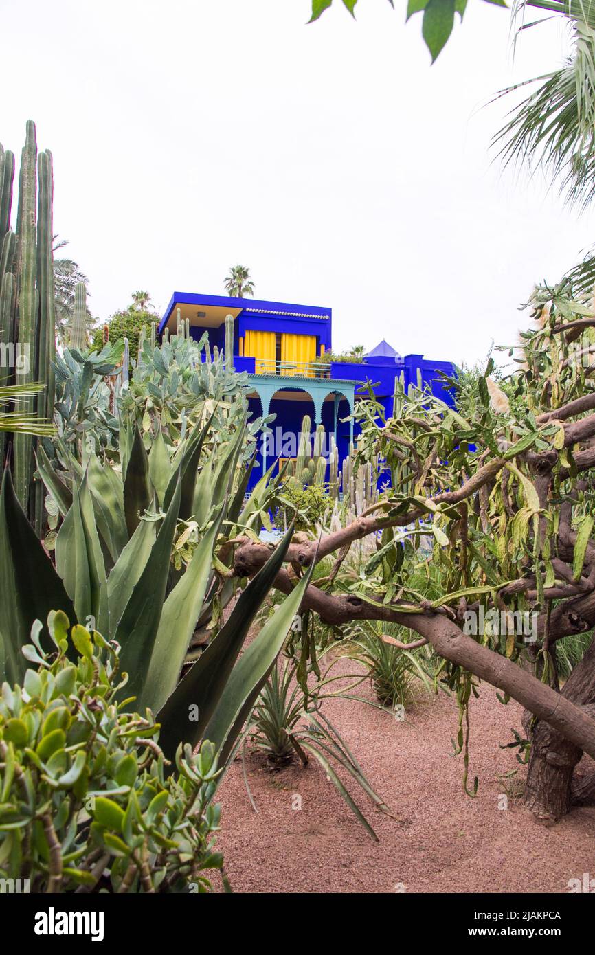 Marrakech's Blue House in Jardin Majorelle Stock Photo - Alamy