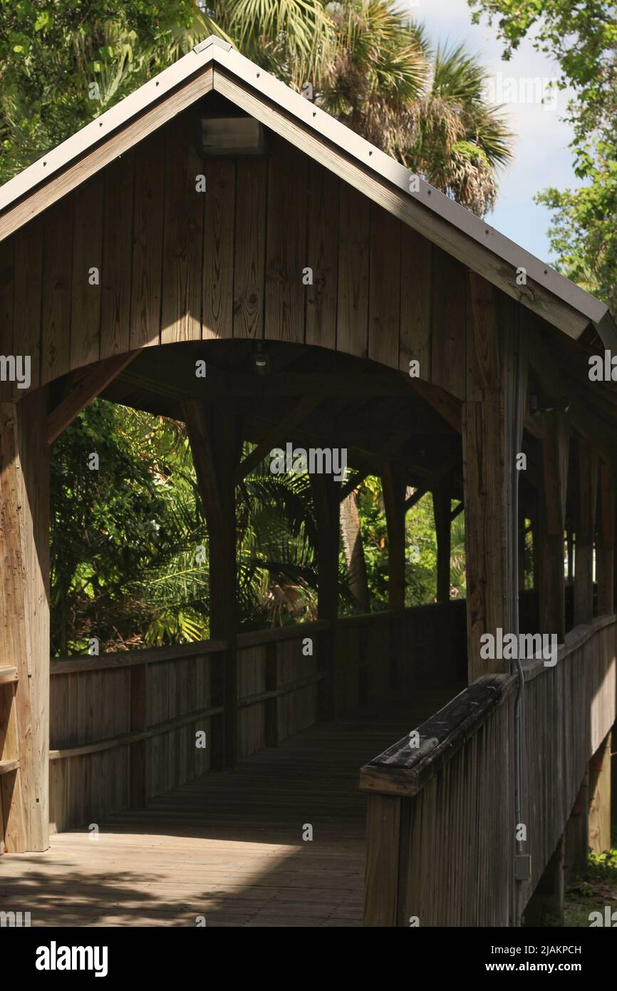 Rustic wooden bridge entering the tropical forest full of lush palm ...