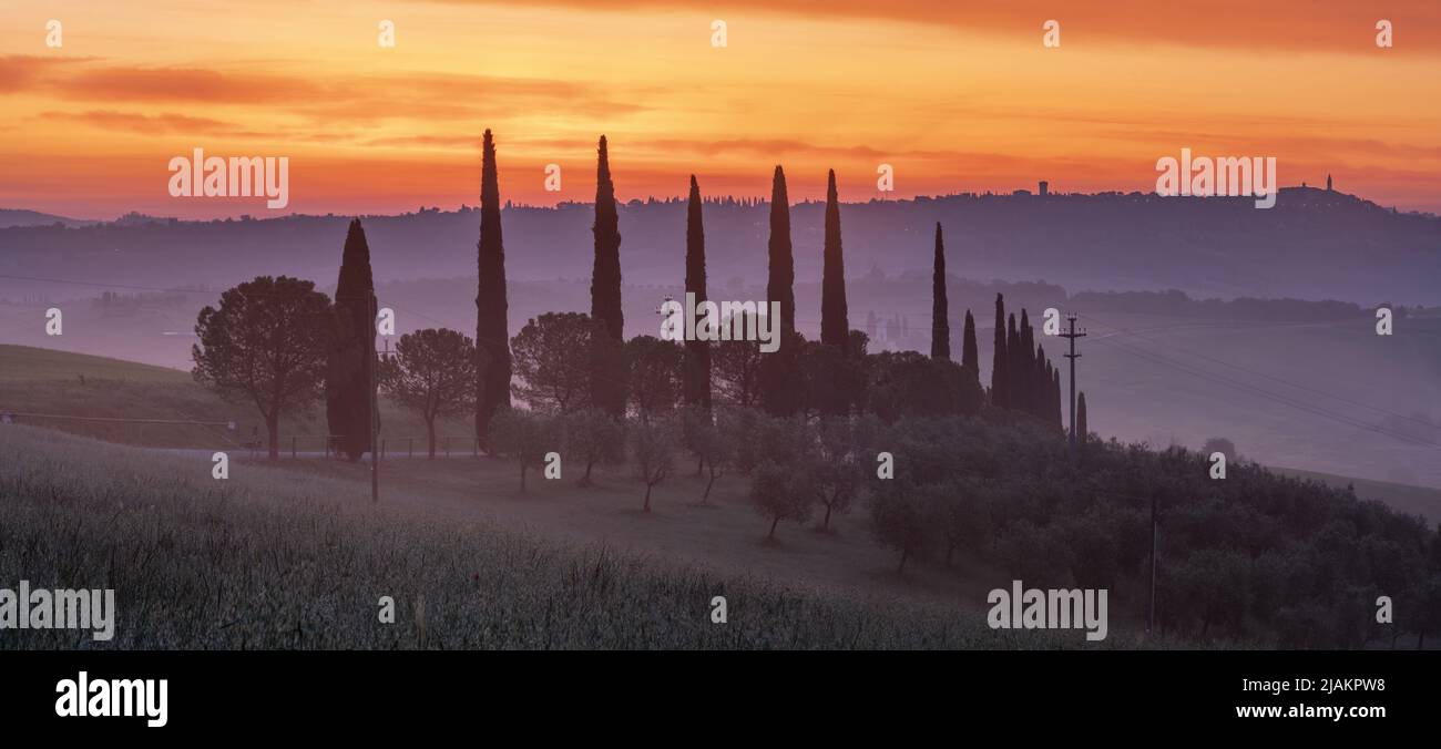 Fairytale, misty morning in the most picturesque part of Tuscany, val ...