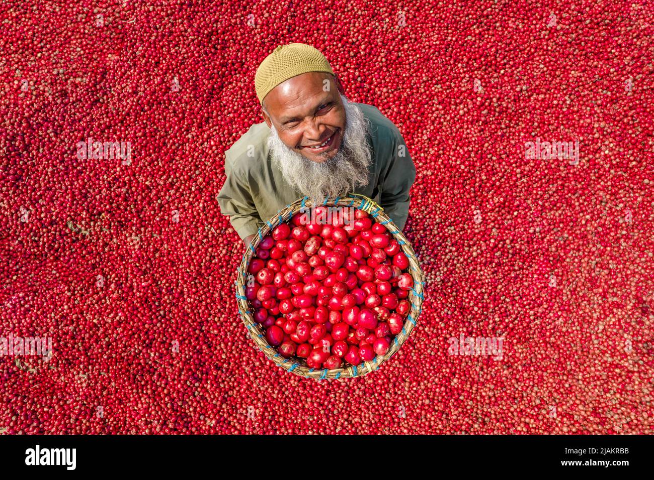 Bogura, Rajshahi, Bangladesh. 31st May, 2022. Thousands of bright Red ...