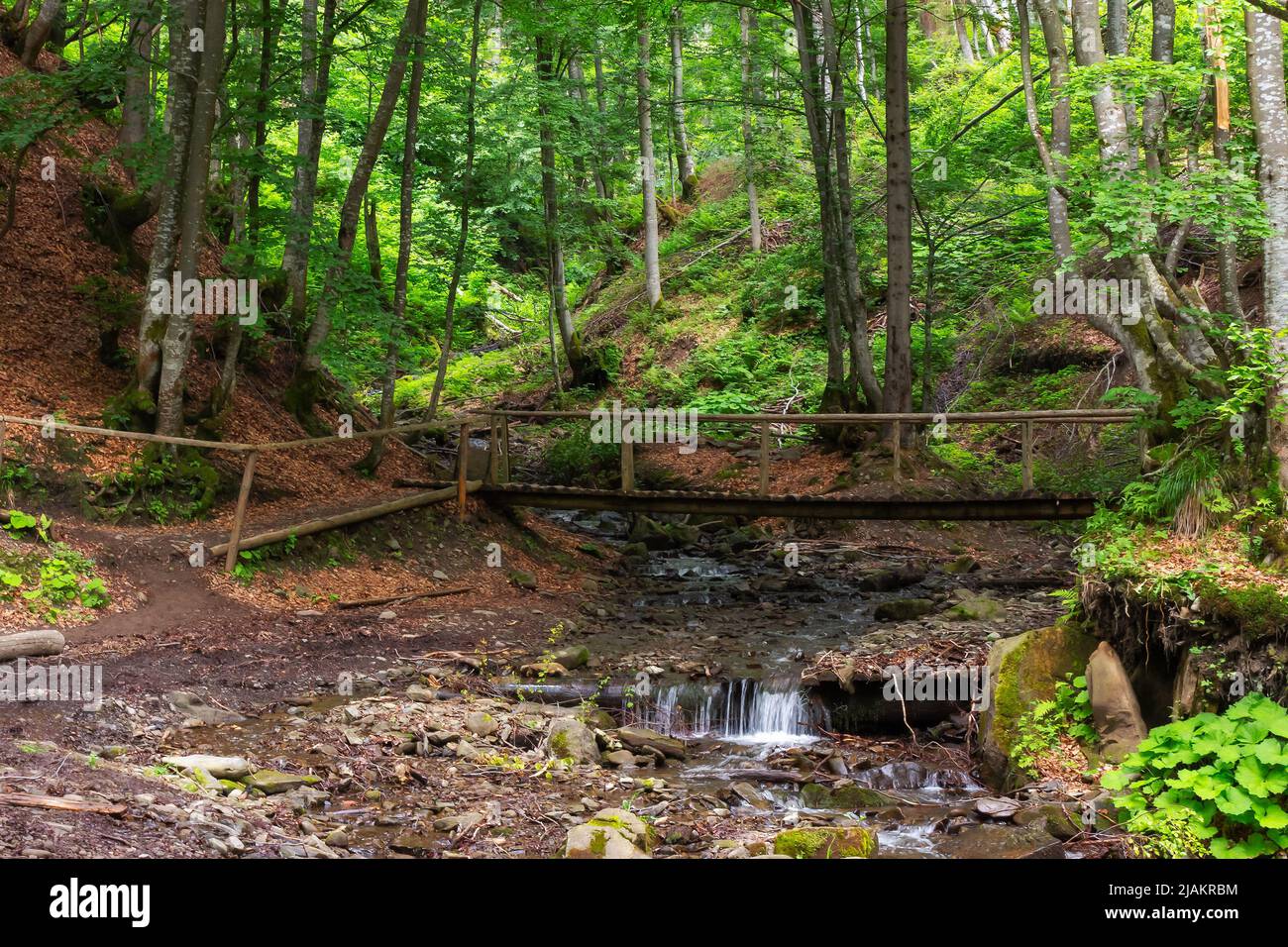 wooden bridge over the brook. beautiful nature scenery in the forest of ...