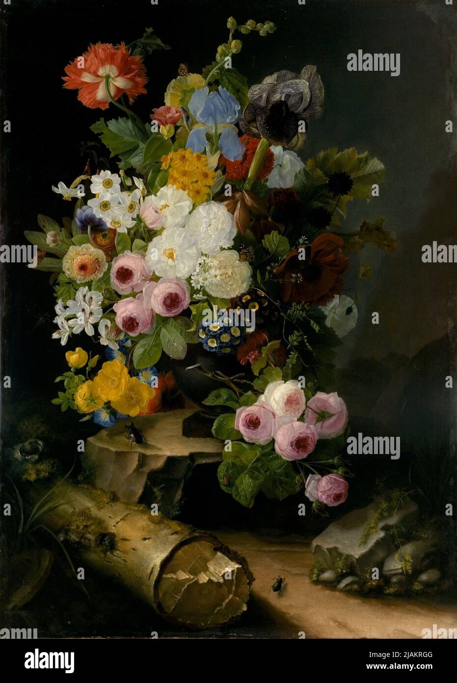 Os jan van hi-res stock photography and images - Alamy