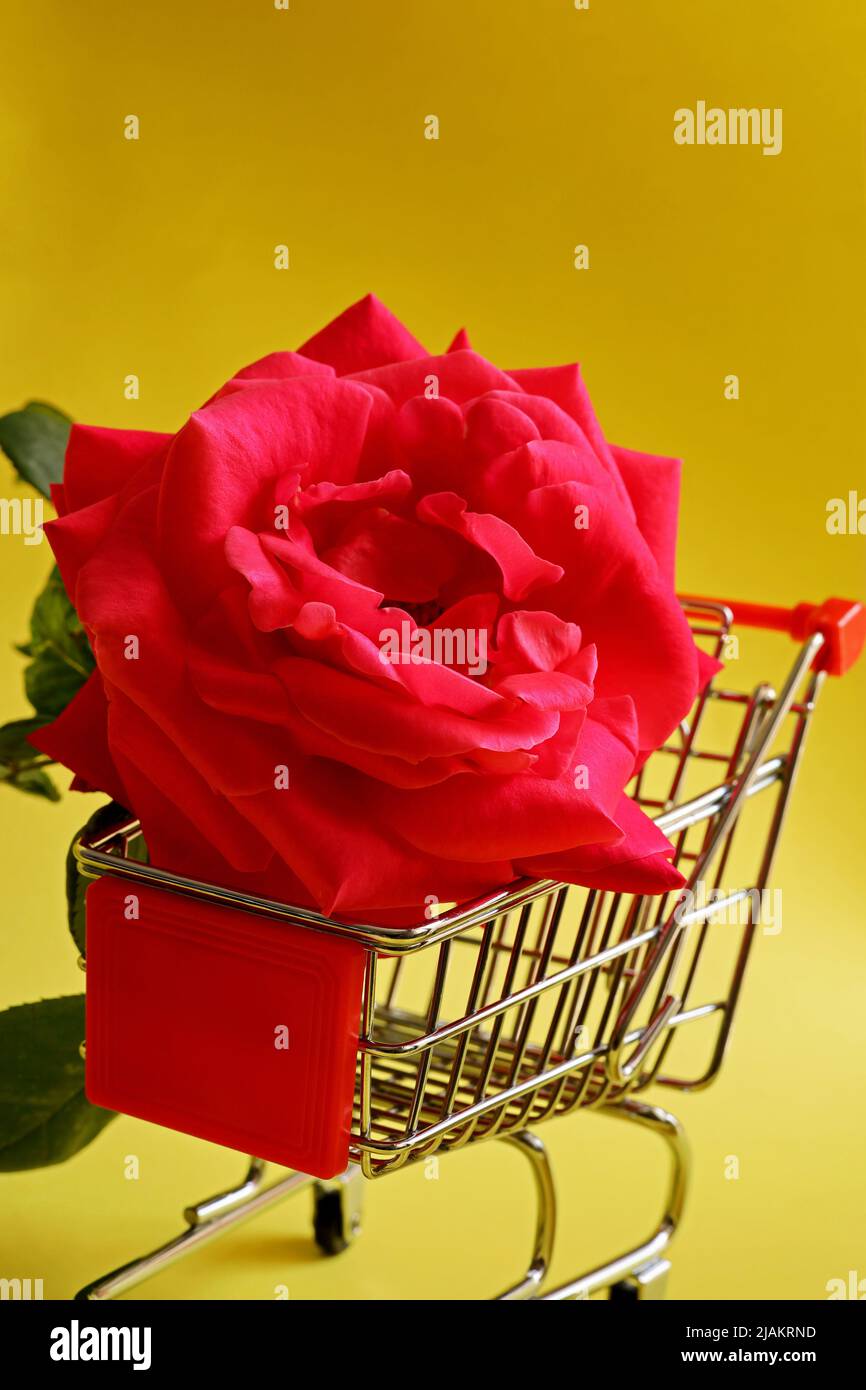 red rose in a shopping cart Stock Photo - Alamy