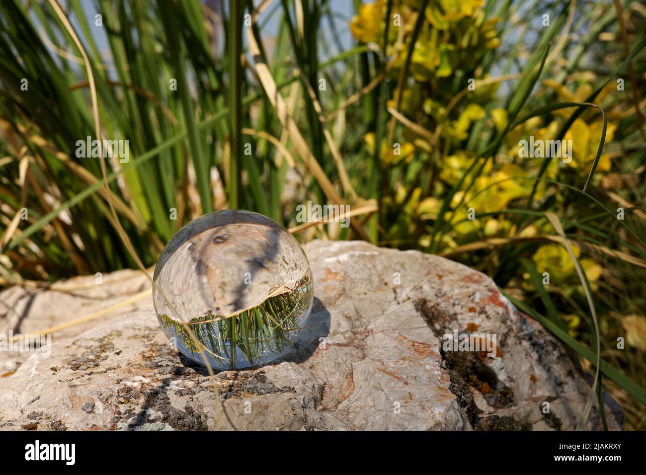 landscape with glass lens ball in the garden Stock Photo - Alamy