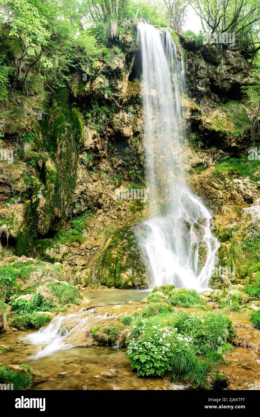 Small mountain waterfall on the rocks covered with moss in the forest ...