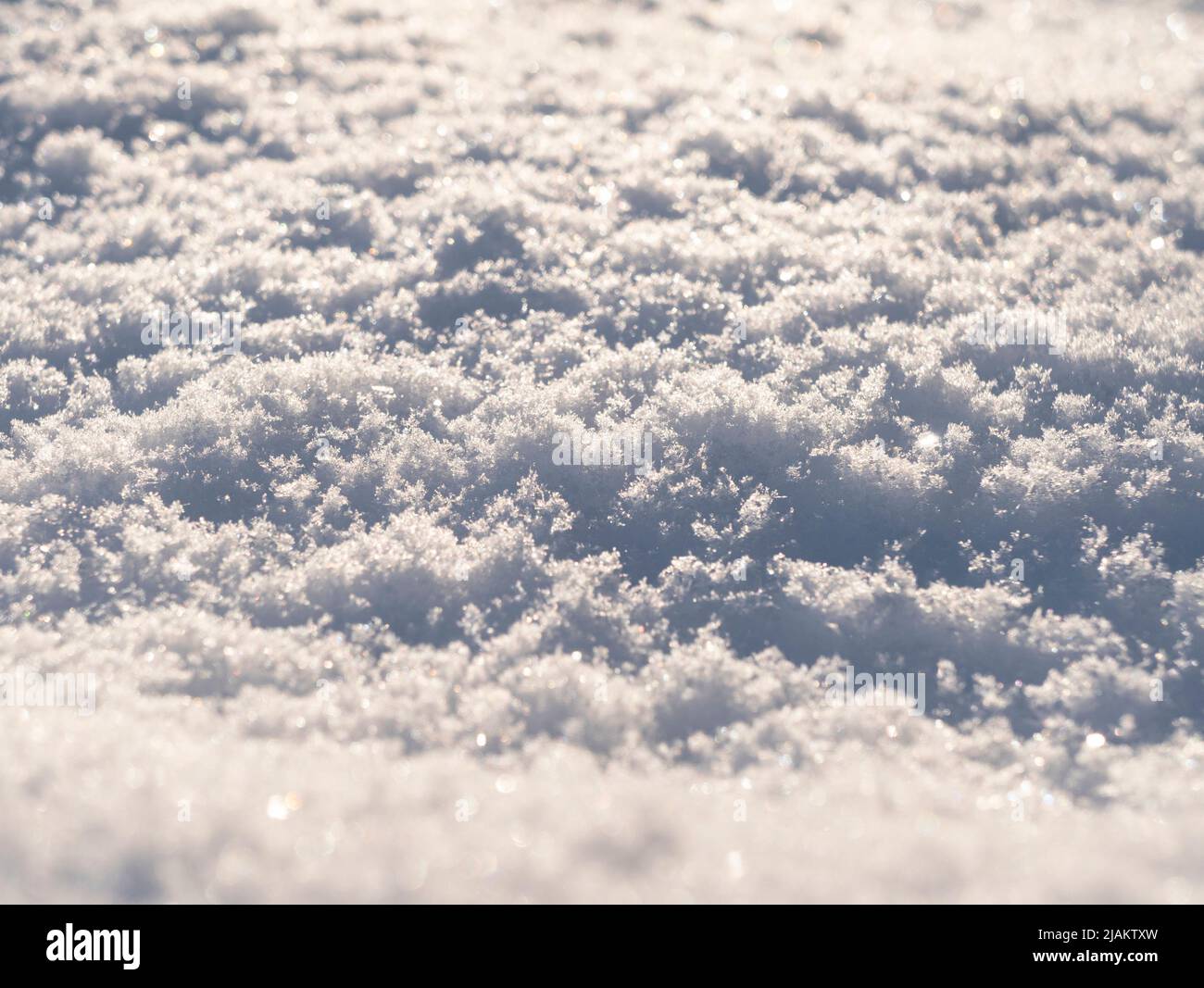 Macro shot background of fresh white snow at the sunset. Snowflakes ...