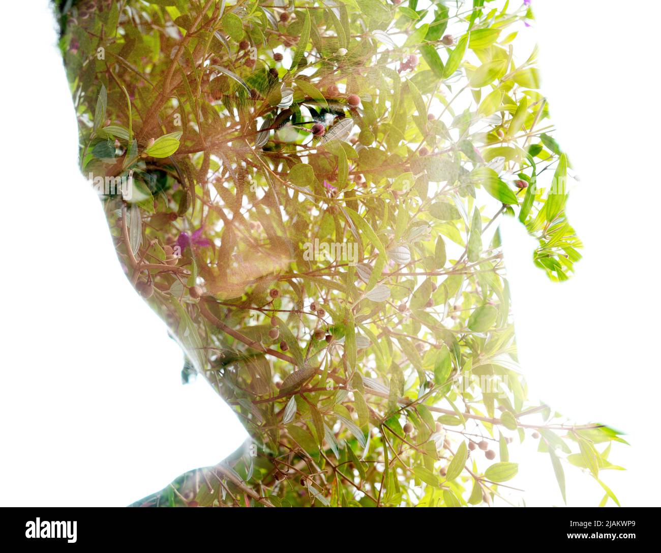 Connected development hi-res stock photography and images - Alamy