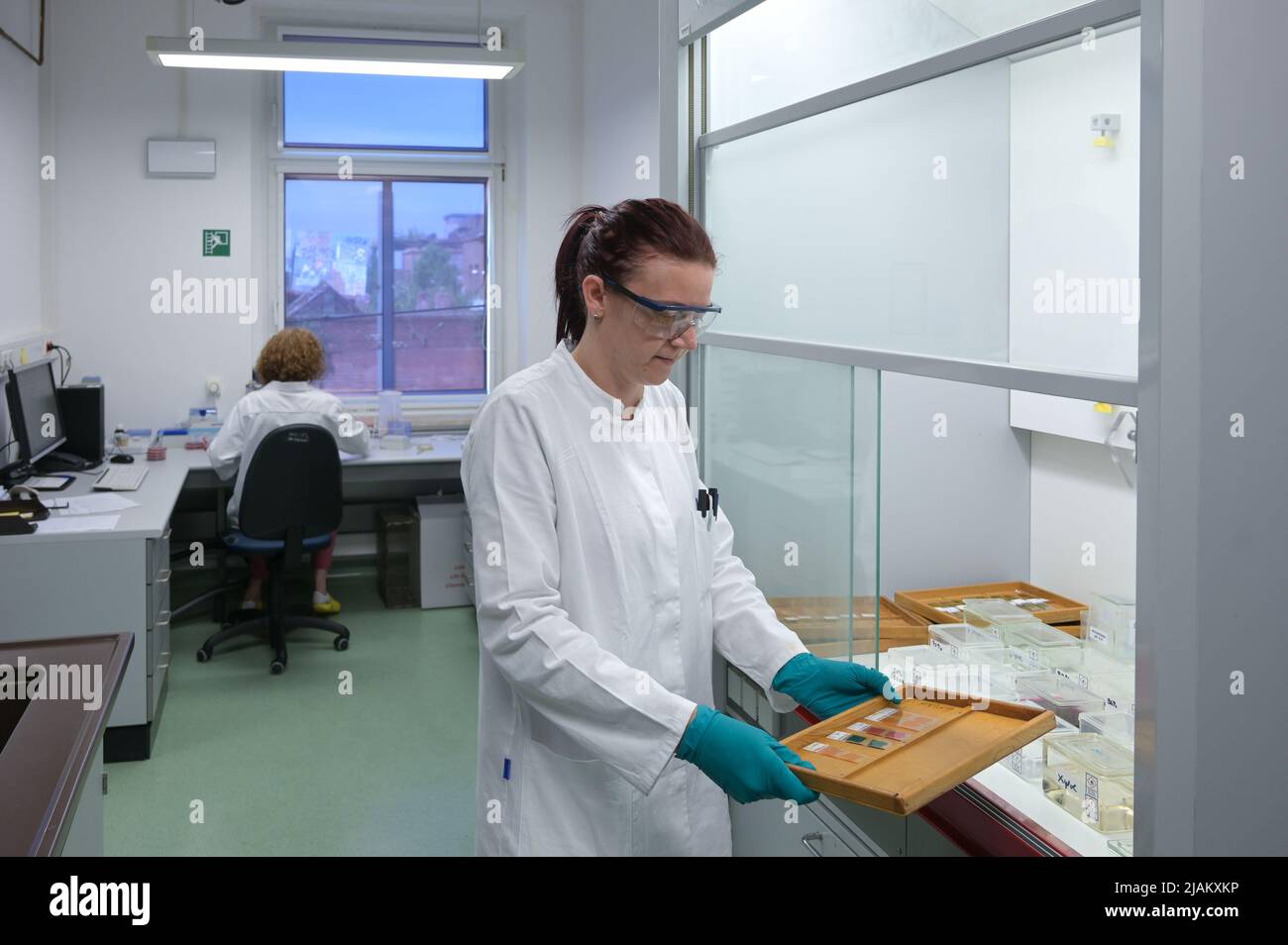 27 May 2022, Saxony-Anhalt, Halle (Saale): In the laboratory, Alexandra ...