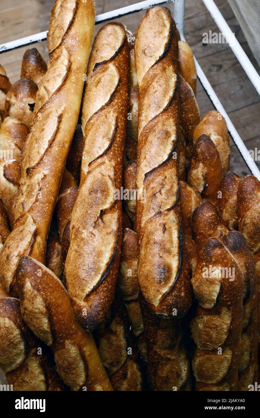 Real French tradition Baguette - Paris - France Stock Photo - Alamy
