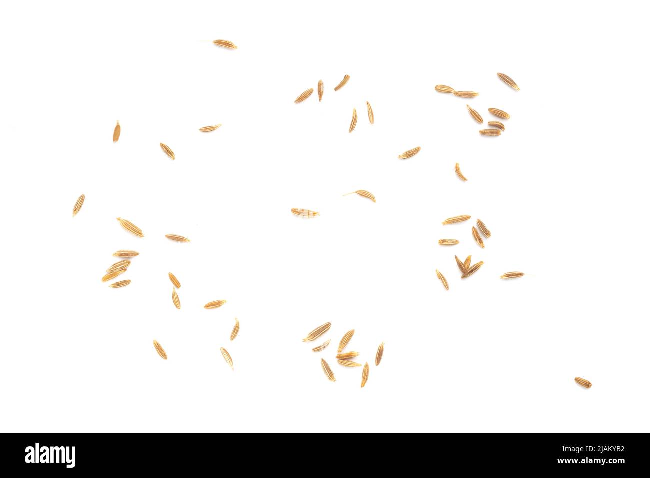 Spice cumin (jeera) in bunch on white isolated. Close up. Flat lay ...