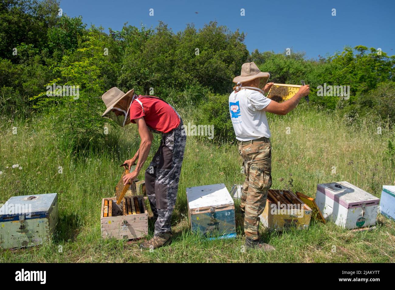 Beekeepers tools hi-res stock photography and images - Alamy