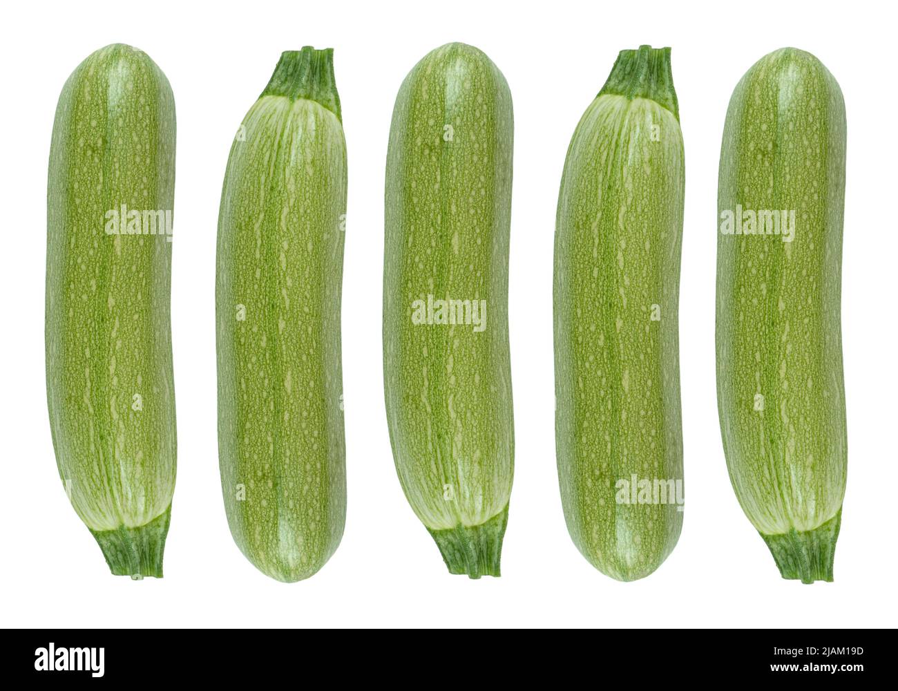Raw green ripe zucchini isolated on white background. Zucchini or ...