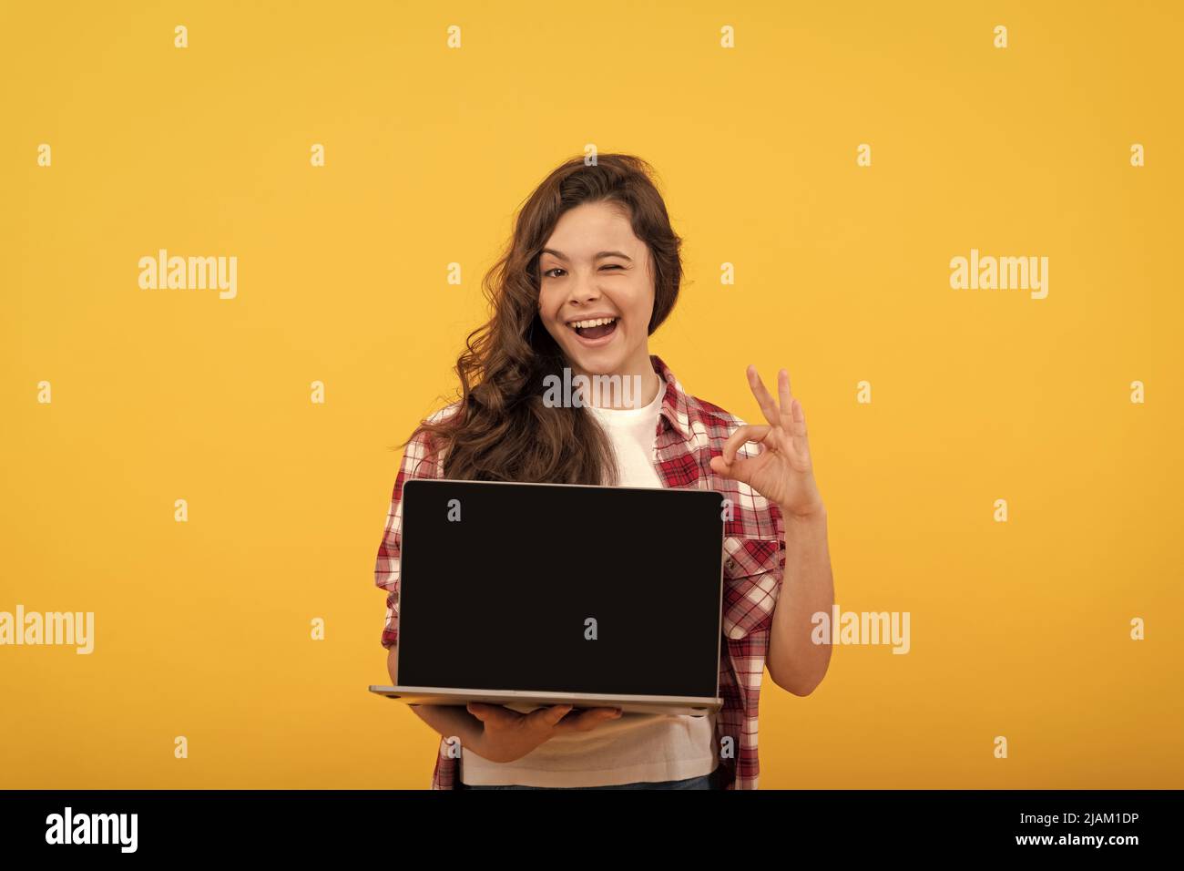 happy smart child presenting laptop at school online lesson show ok ...