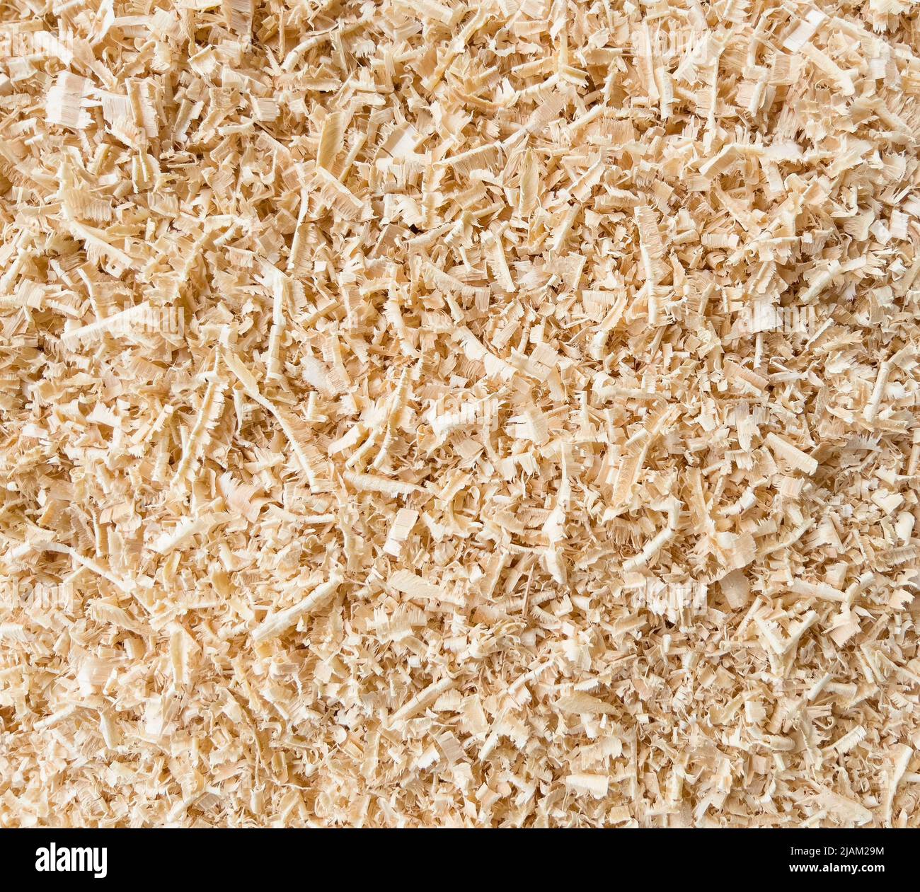 Sawdust or wood dust texture background. Wood sawdust background ...