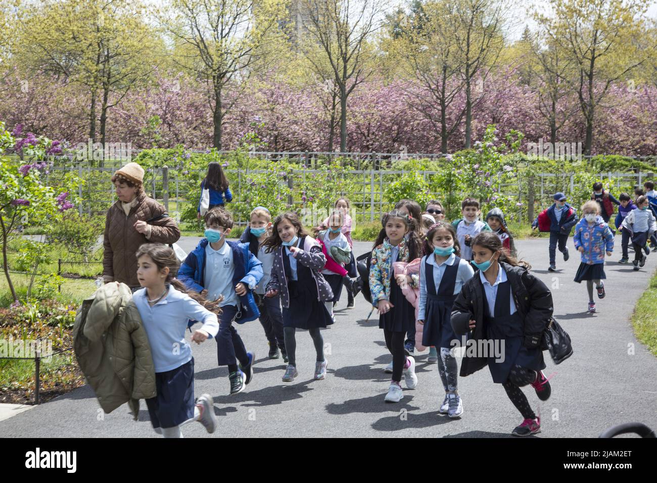 School class enjoy a spring field trip to the Brooklyn Botanic Garden ...
