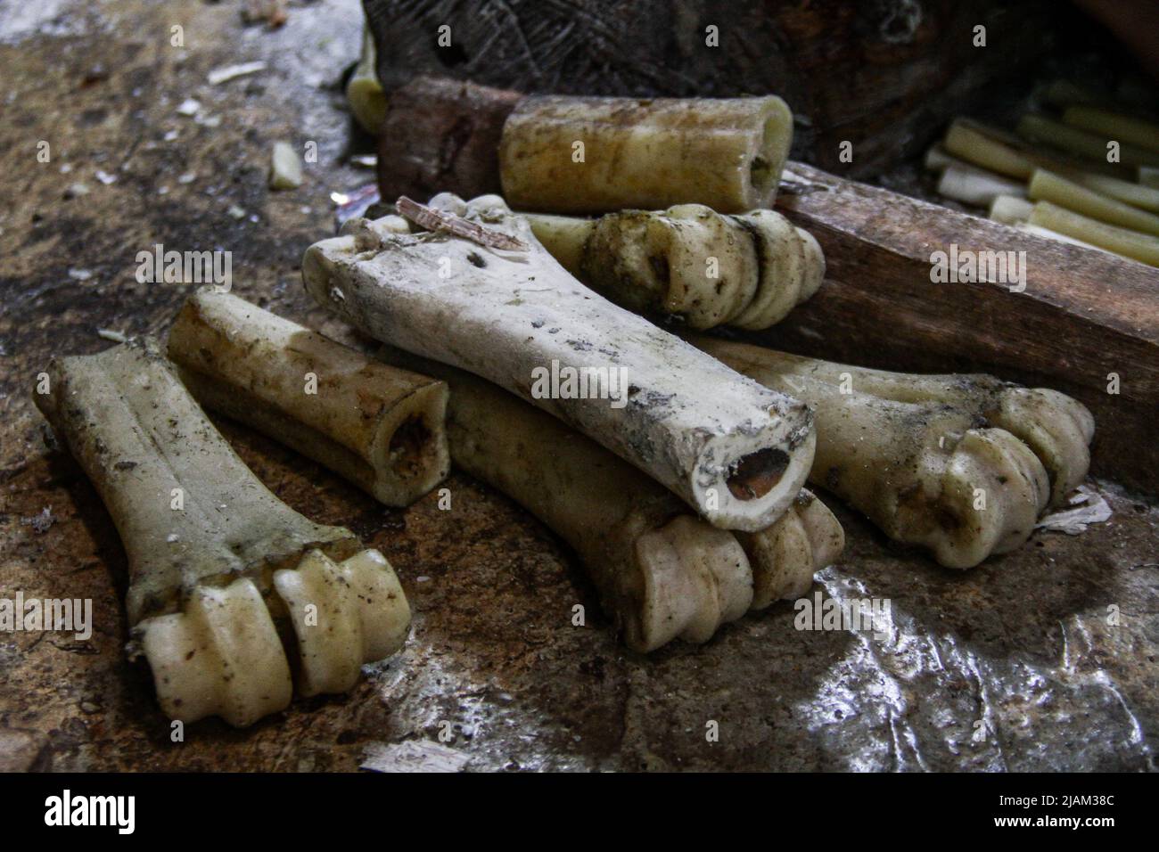 Cow bones as the basic material of handicrafts are seen in Cileunyi ...